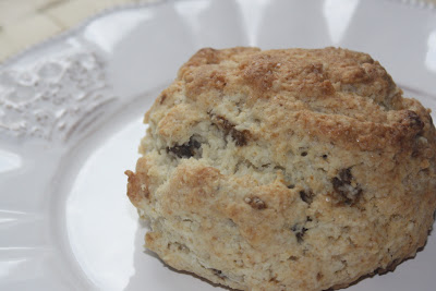 Big Batch Scone Mix - Polish Housewife