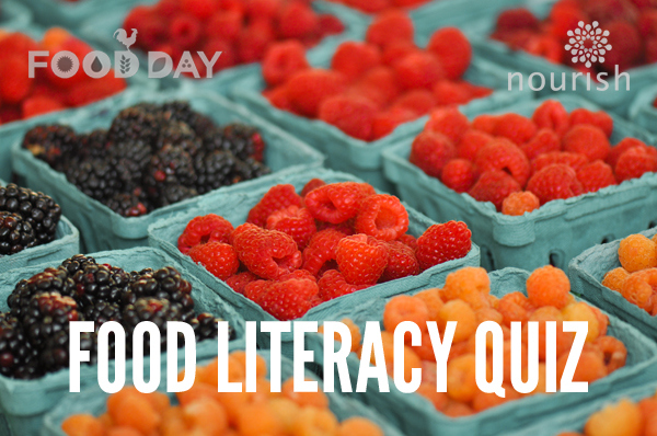 Food Day Quiz - Polish Housewife