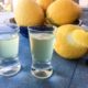 Cytrynówka Polish Lemon Liqueur - Polish Housewife