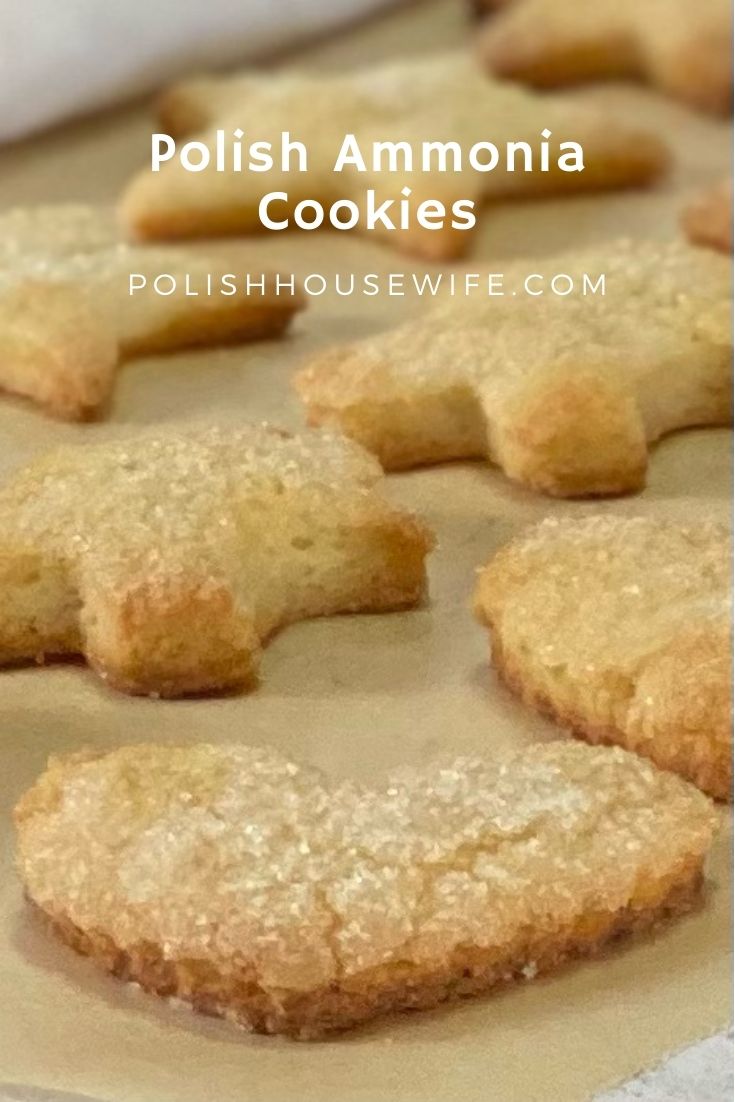 Ammonia Cookies - Polish Housewife